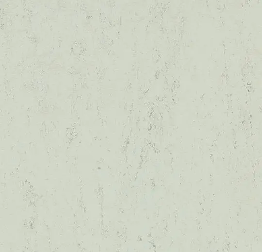 The Marmoleum Clique - Forbo Marmoleum Free Samples